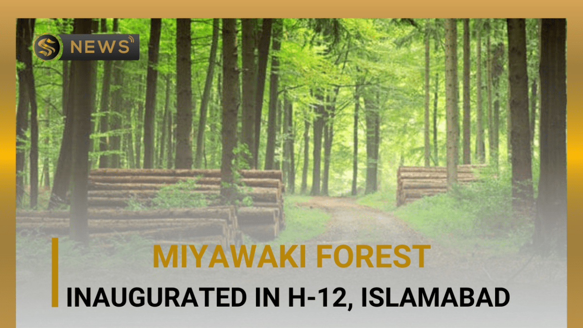 CDA Commenced the Biggest Ever Miyawaki Forest - Sapphire Builders and ...