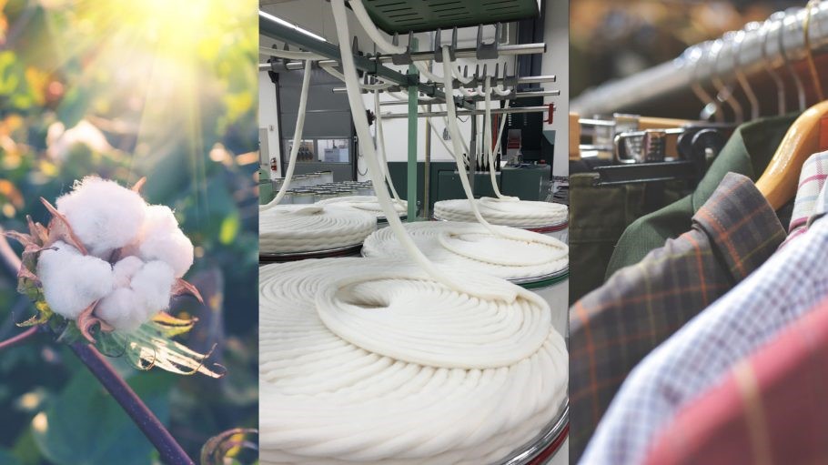 Significance of Cotton in Pakistan’s Economic Future - Sapphire ...