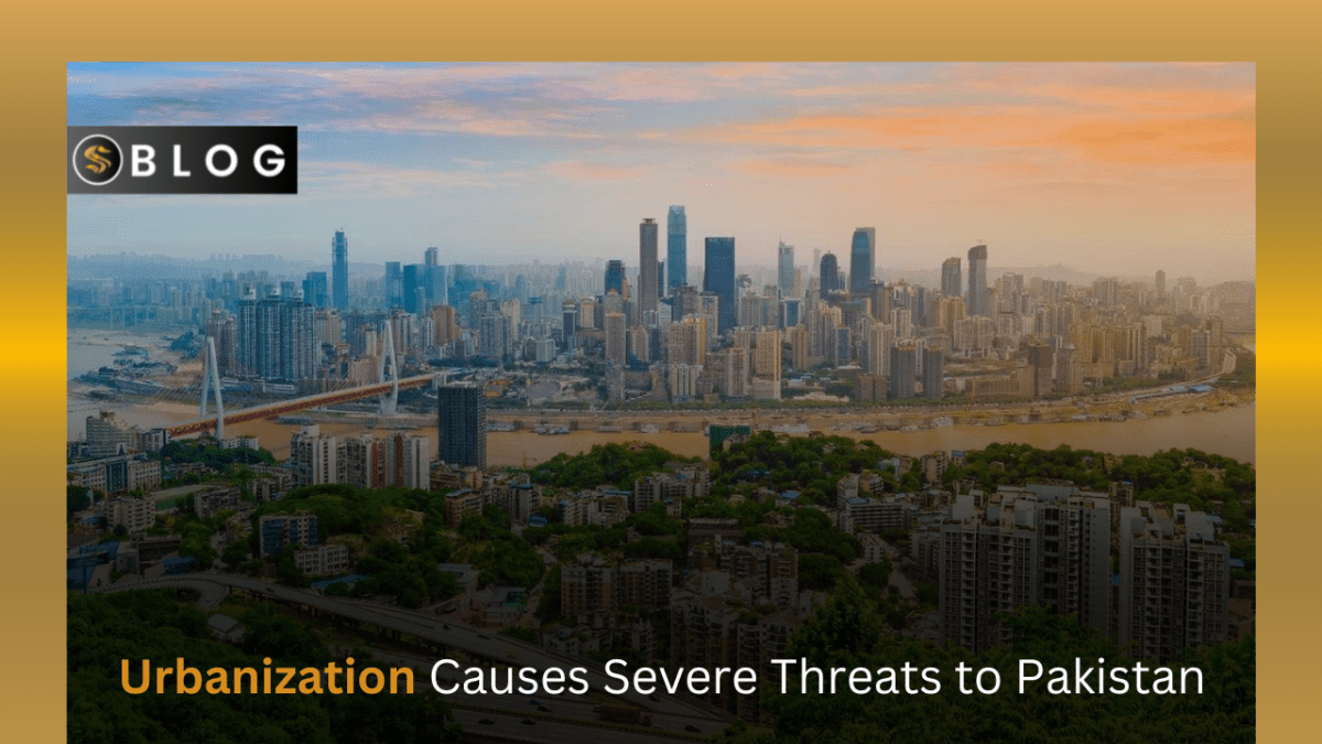 Urbanization; Problem of the Rich or Poor? - Sapphire Builders and ...