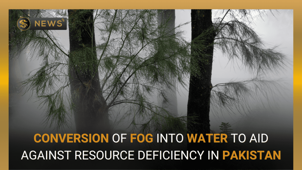 Pakistan Forest Department Working to Convert Fog into Water - Sapphire ...