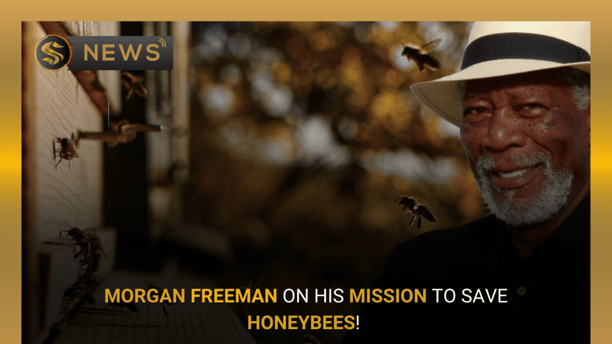 Morgan Freeman Dons Beekeeping Gear to Transform his 124-Acre Land into ...
