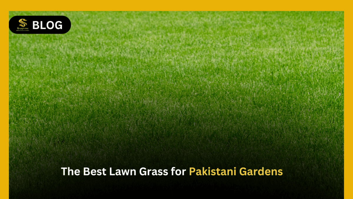 The Ultimate Guide to Lawn Grass in Pakistan